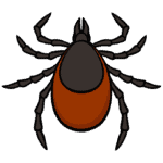 Parasite: A Science Poem – Mr. R.'s Science Poems