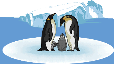 tundra biome science poem : Mr. R.'s Science Poems